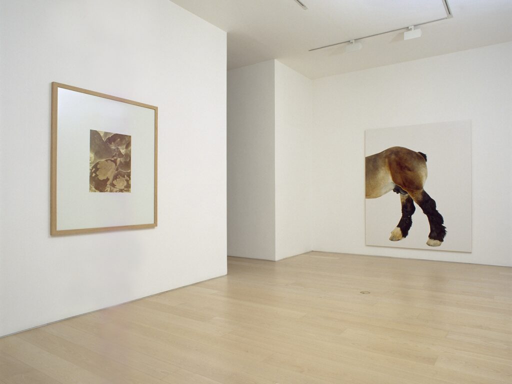 Eric Poitevin | Exhibition 2000 - Bernier / Eliades Gallery